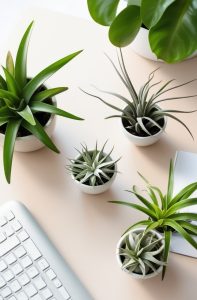 15 Fresh Spring Decor Ideas to Brighten Your Office Space
